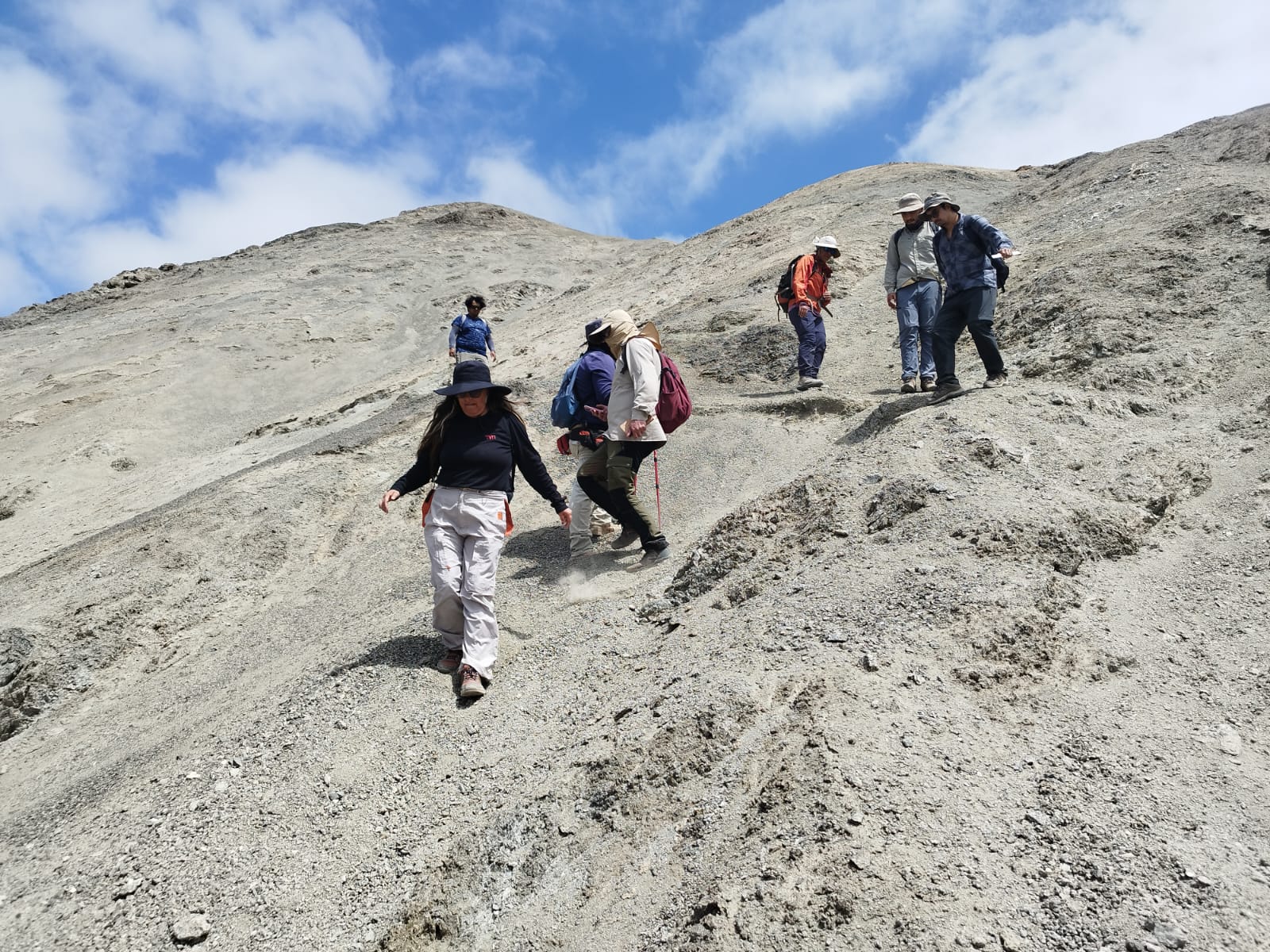 Navegador Academia: nueva plataforma virtual - Universidad Academia de ...